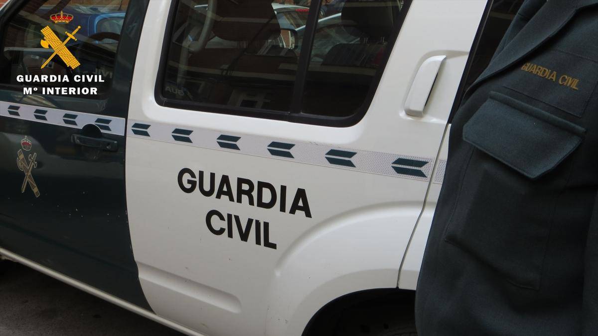 Detenido Un Ladrón Tras Una Oleada De Robos En Fincas Agrícolas De Daimiel